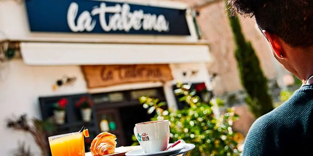 Top 10 Best Catalina Coffee Reviews & Comparison 2026